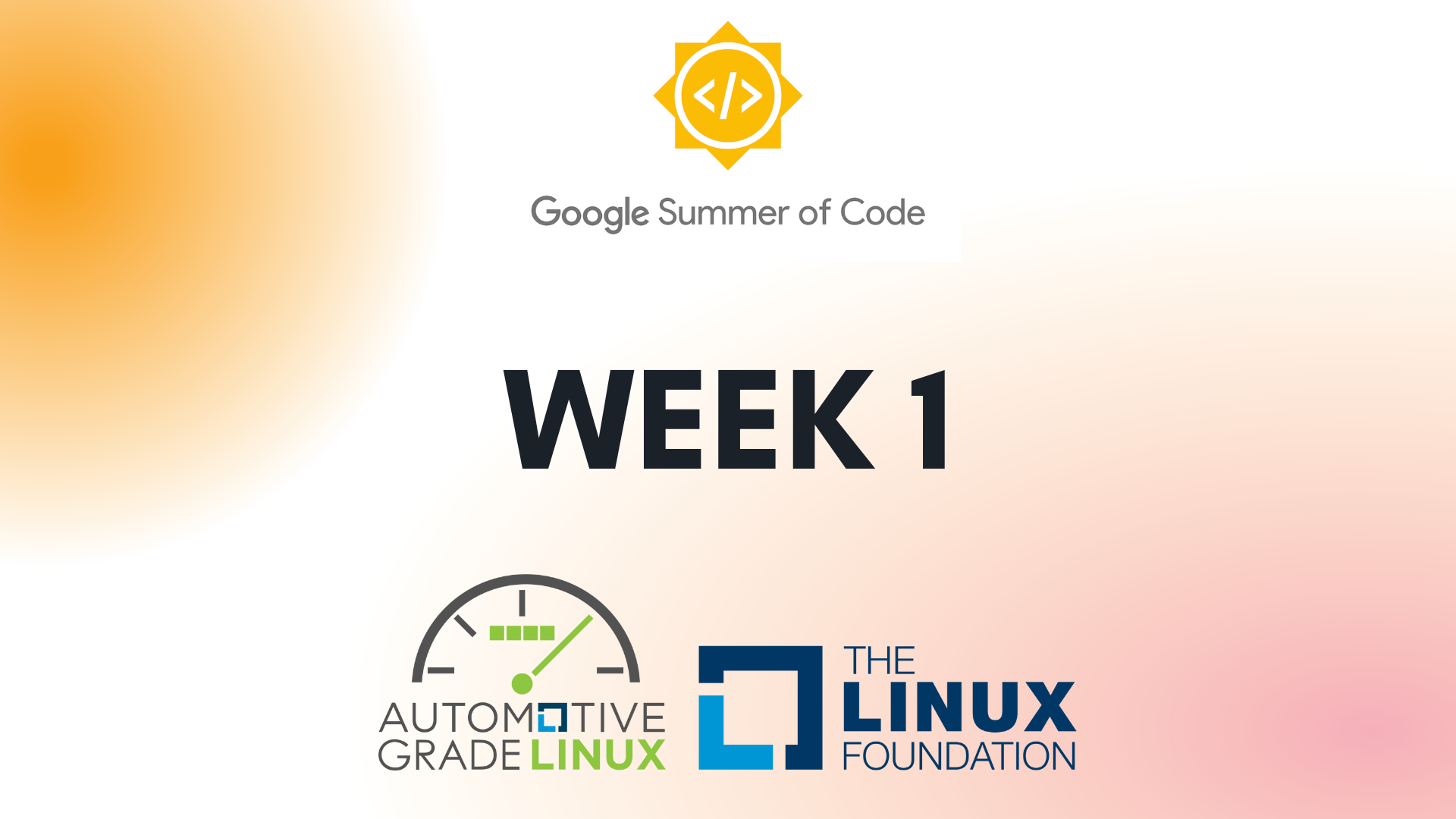 Week 1 Progress Report