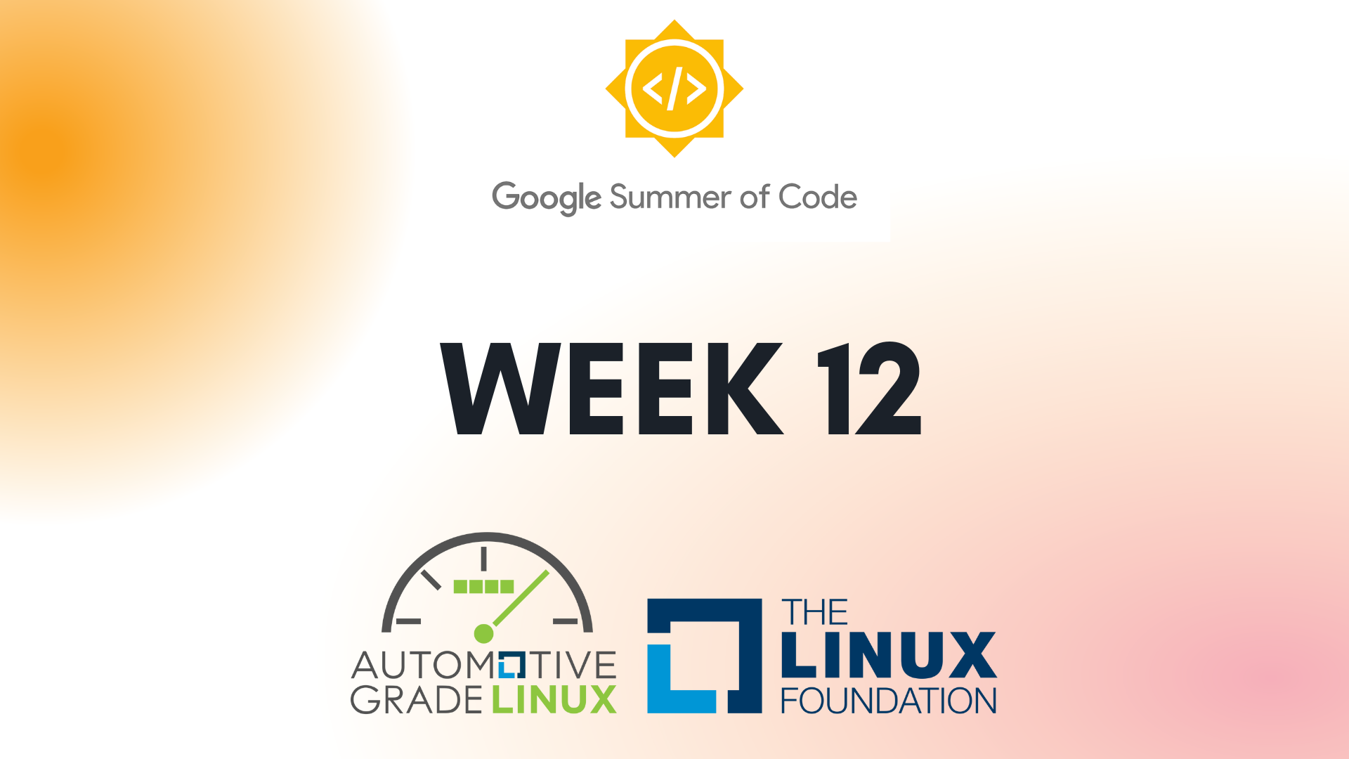 Week 12 Progress Report