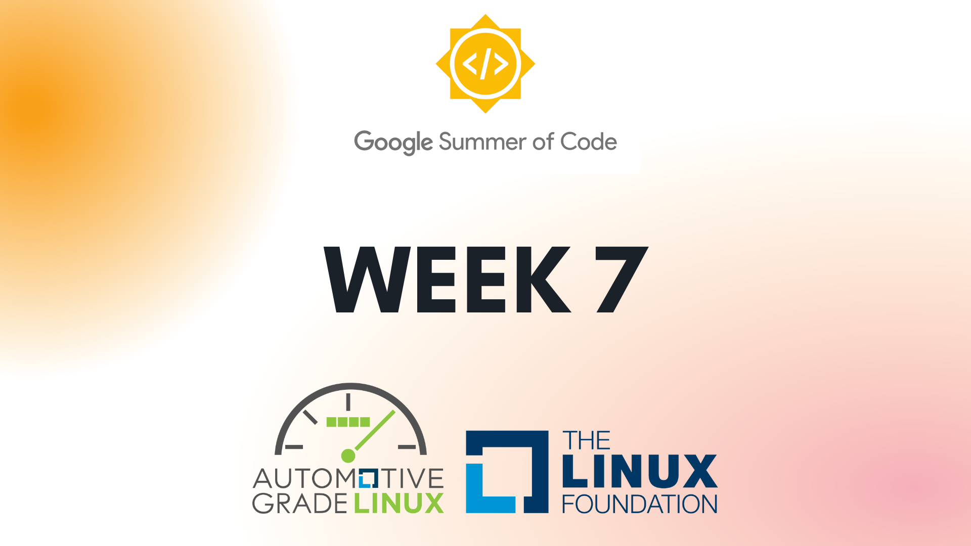 Week 7 Progress Report