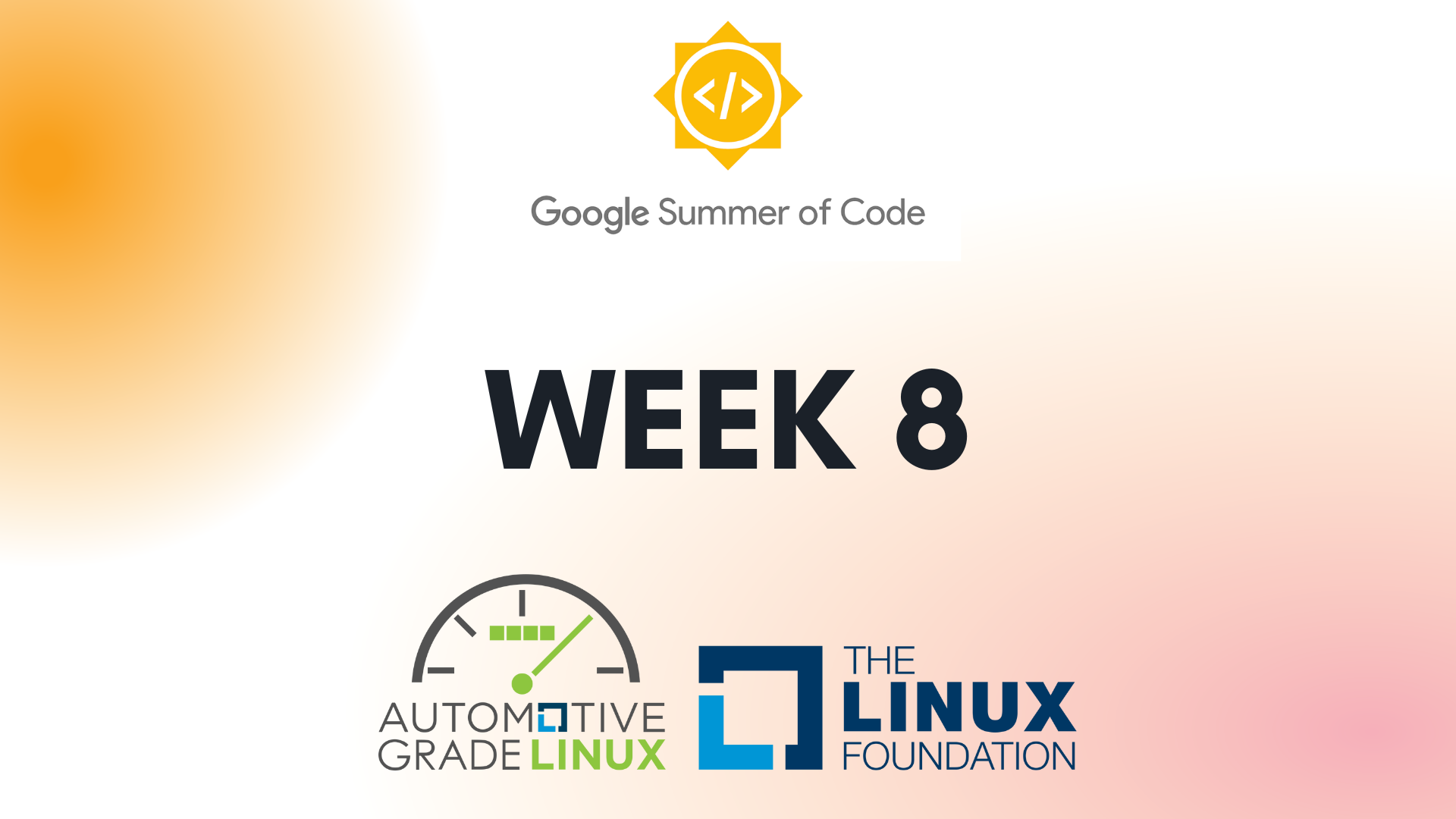 Week 8 Progress Report